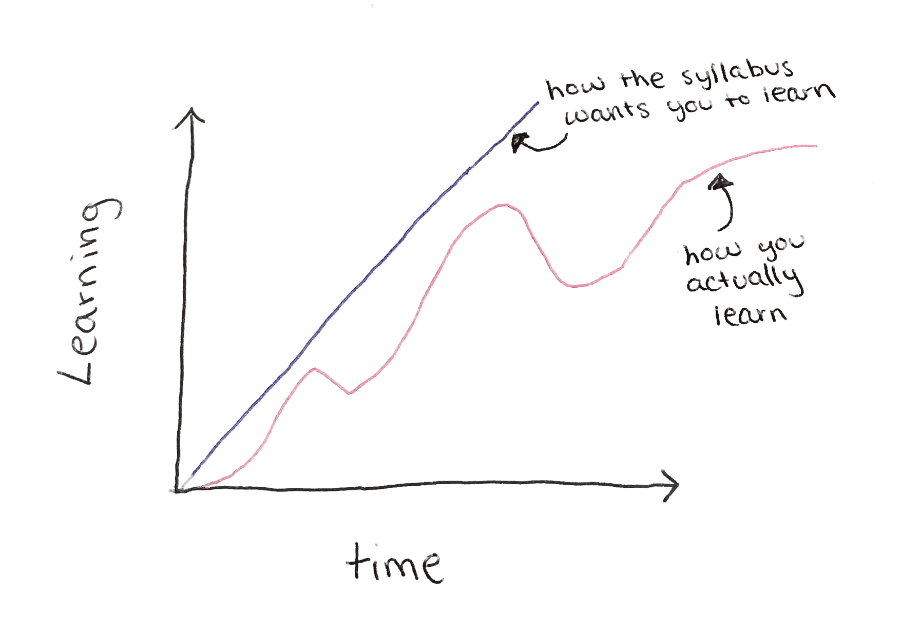 On Linearity and Learning – On Ariel's Mind
